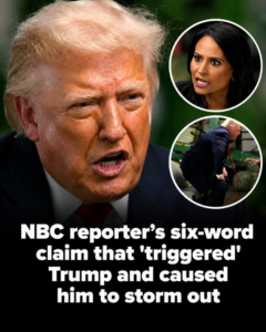 NBC Interview Turns Heated as Trump and Reporter Clash During a Tense ...
